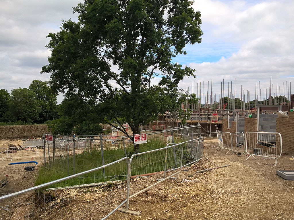 Arboricultural Impact Assessment Reports: Oxford, Northampton, Milton ...