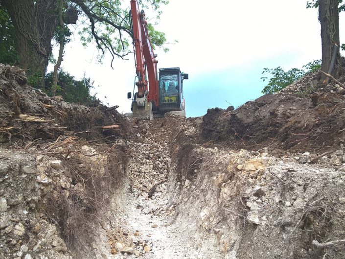 Arboricultural Method Statement in Oxford, Northampton, Milton Keynes ...